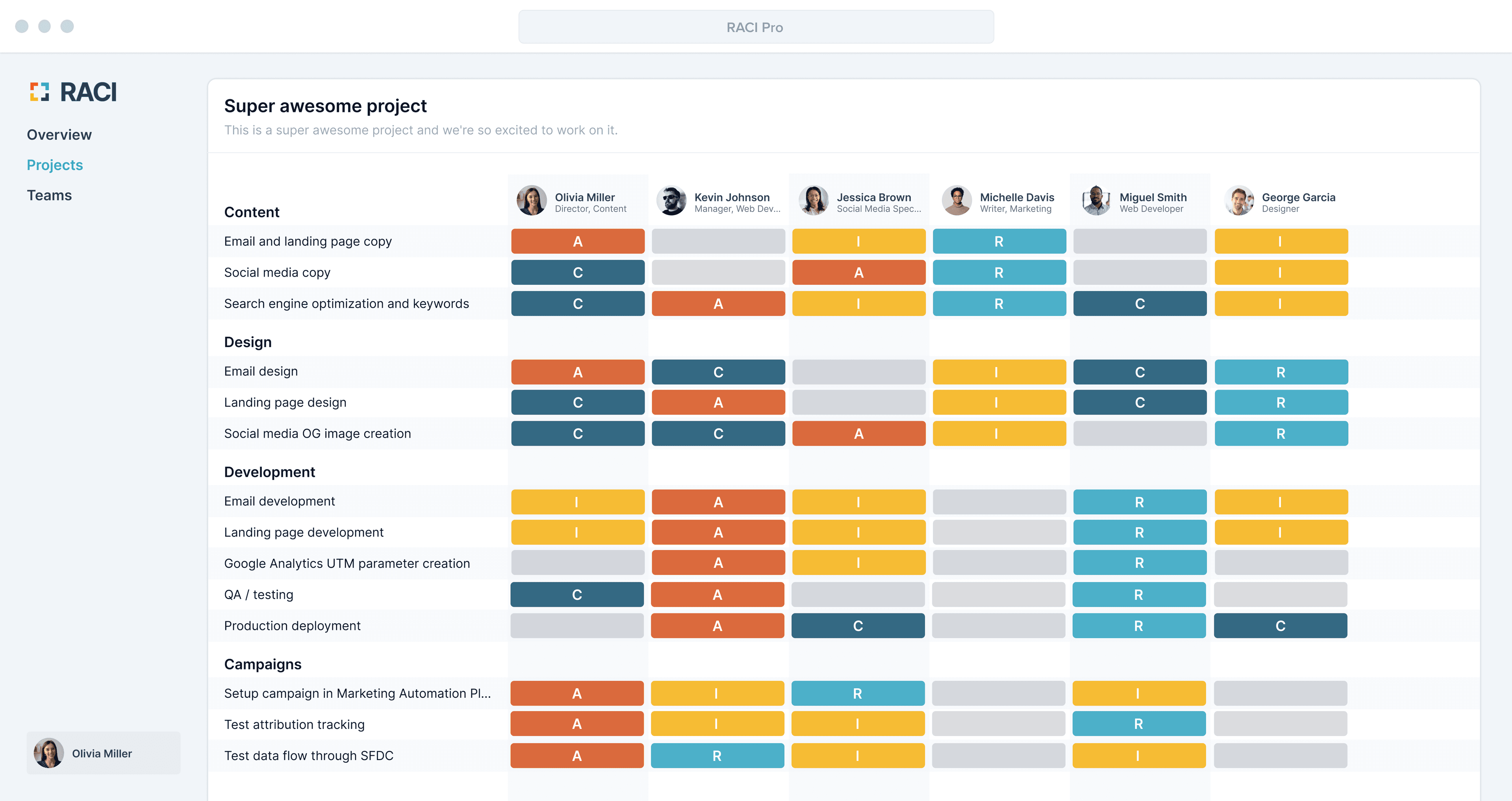 Free RACI software | RACI Pro